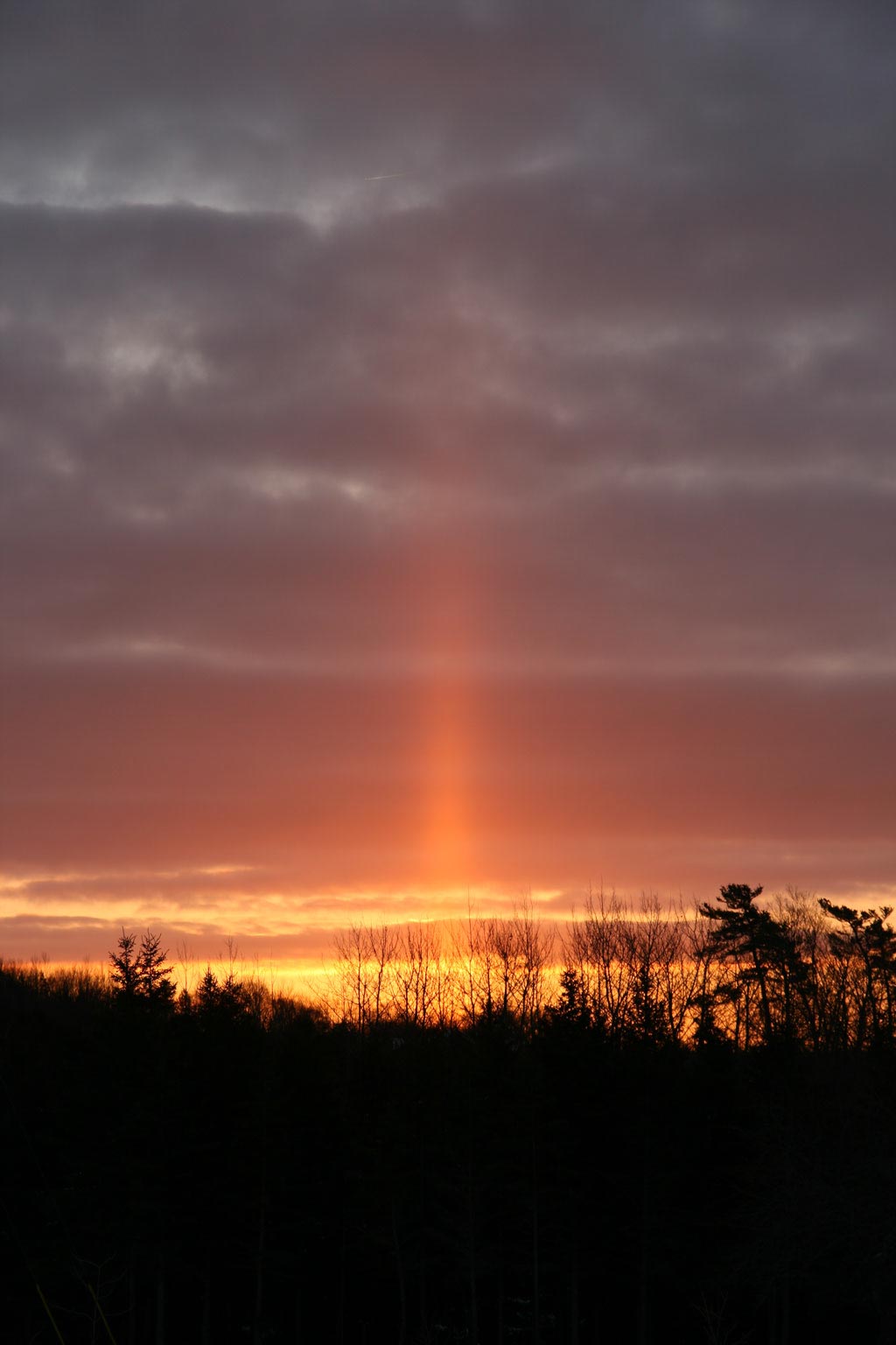 Peterborough Astronomical Association